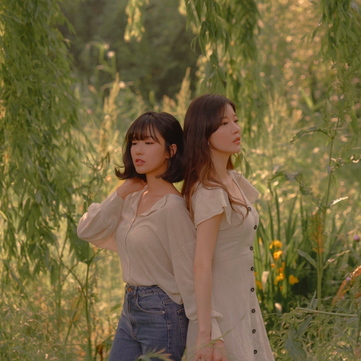 네이버 인플루언서: 와블 WABLE의 홈