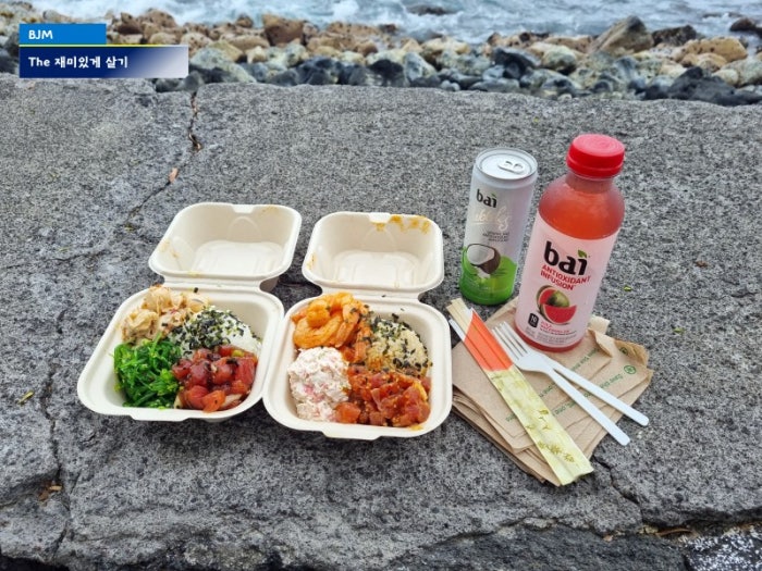 네이버 인플루언서