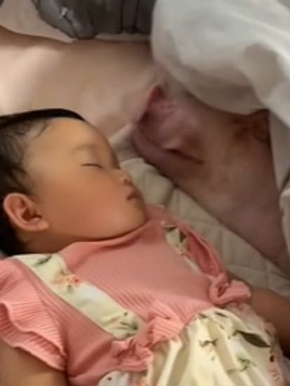 네이버 인플루언서