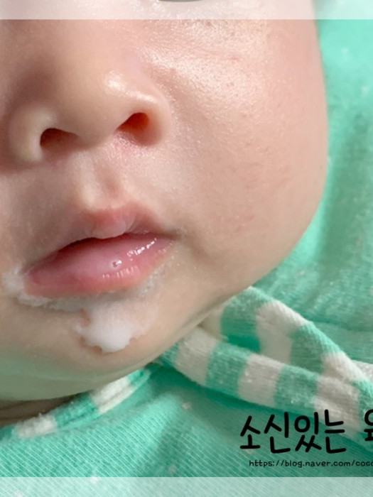 네이버 인플루언서