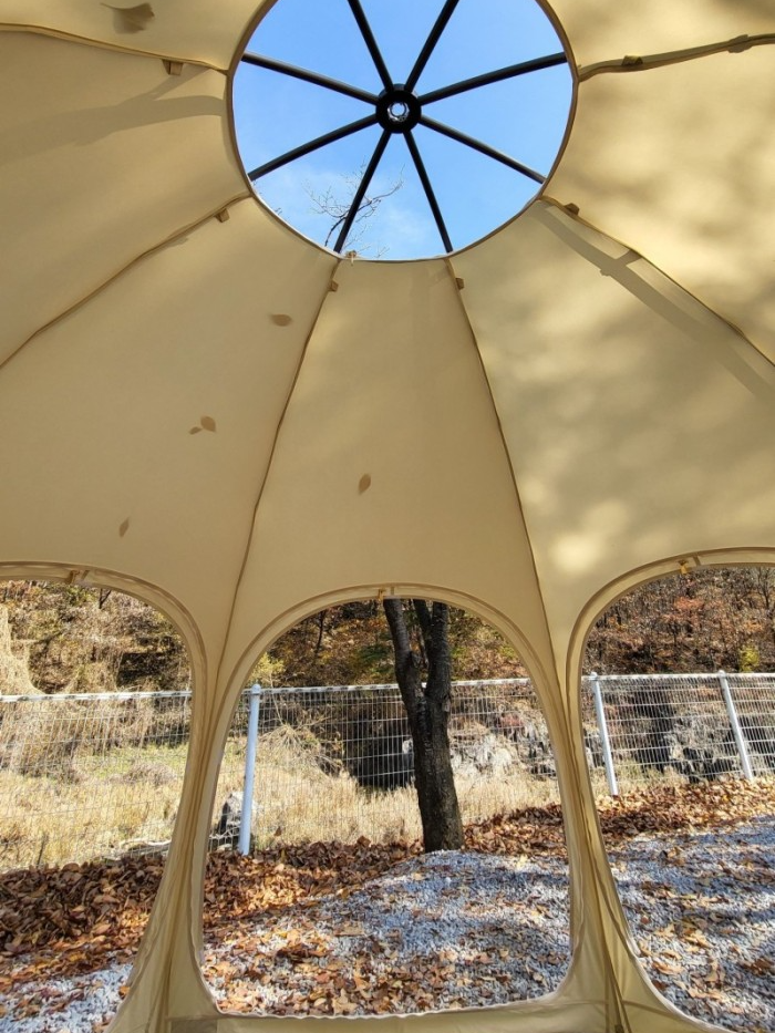 네이버 인플루언서