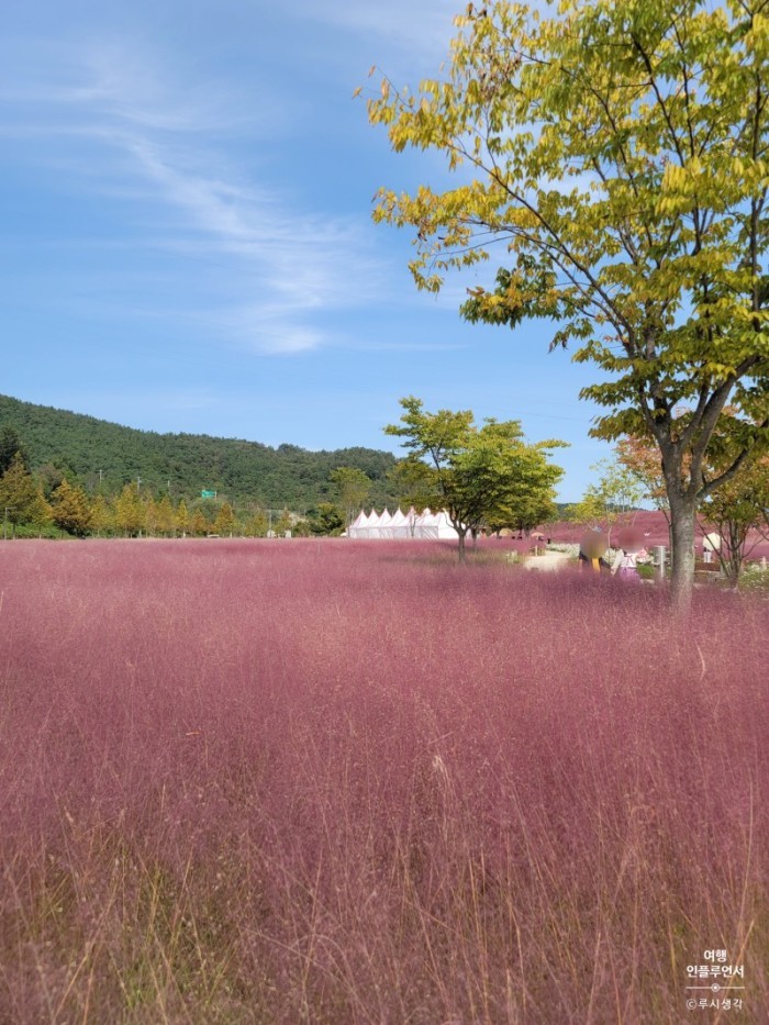 네이버 인플루언서
