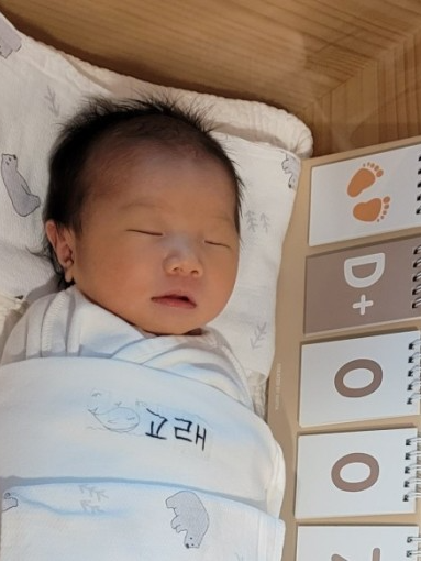 네이버 인플루언서