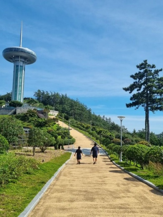 네이버 인플루언서