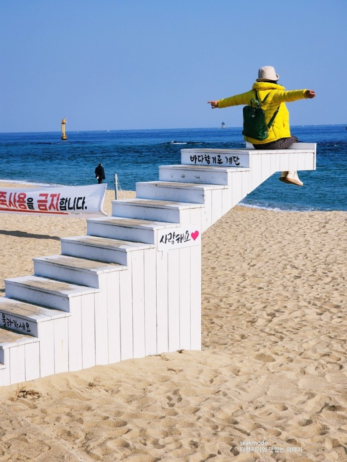 네이버 인플루언서