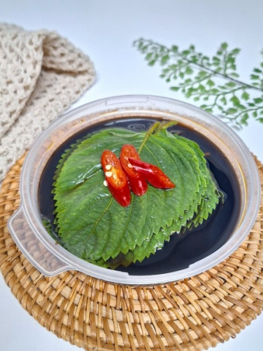 네이버 인플루언서