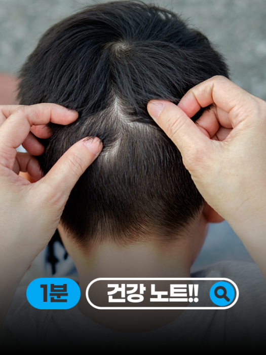 네이버 인플루언서