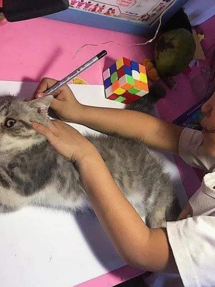 네이버 인플루언서