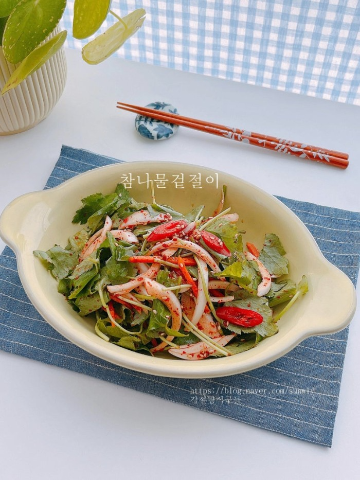 네이버 인플루언서