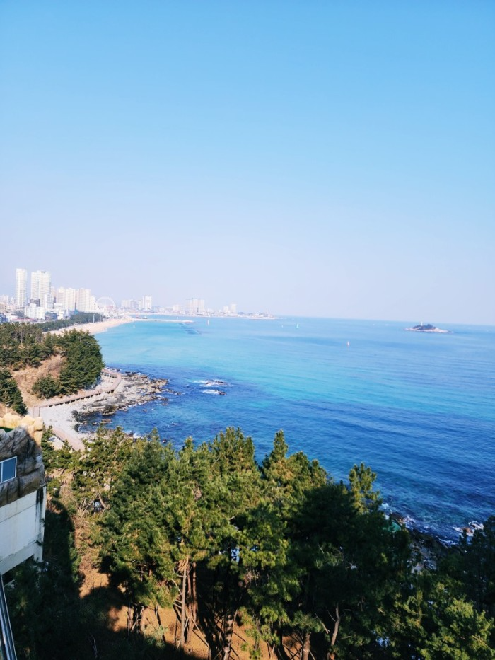 네이버 인플루언서