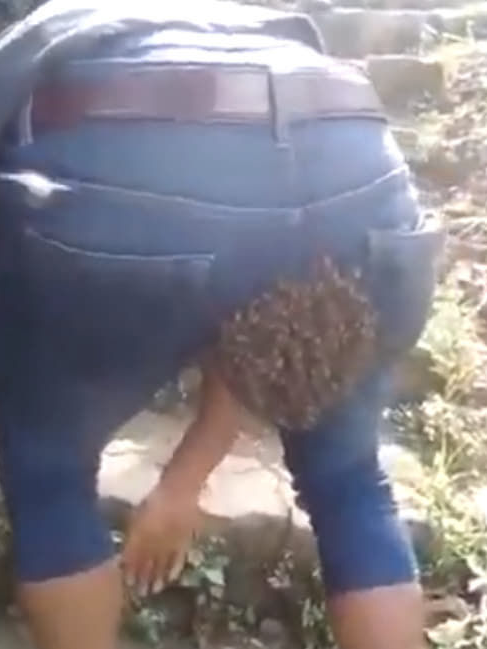 네이버 인플루언서