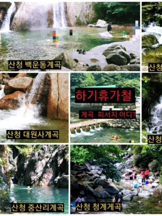 네이버 인플루언서