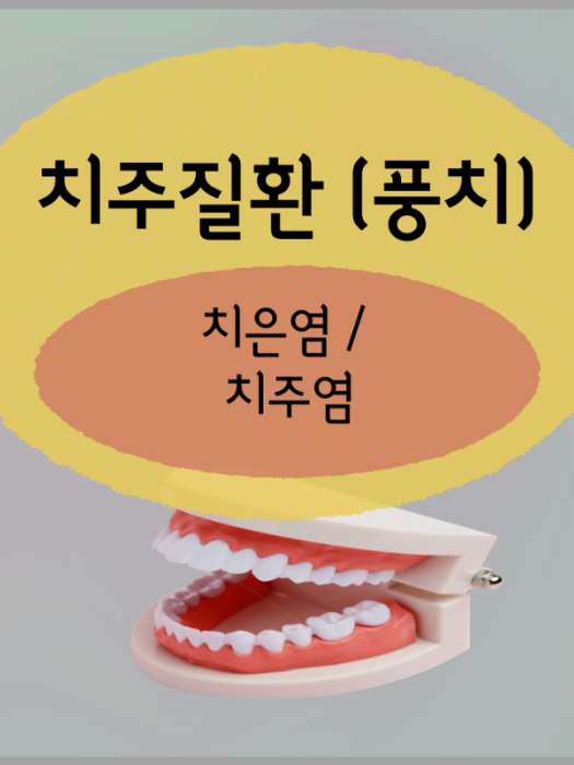 네이버 인플루언서