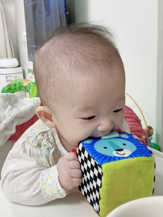네이버 인플루언서