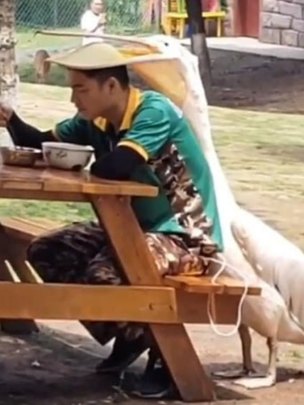 네이버 인플루언서