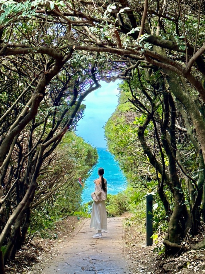 네이버 인플루언서