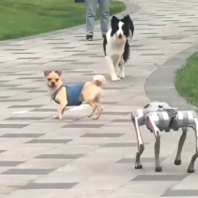 네이버 인플루언서