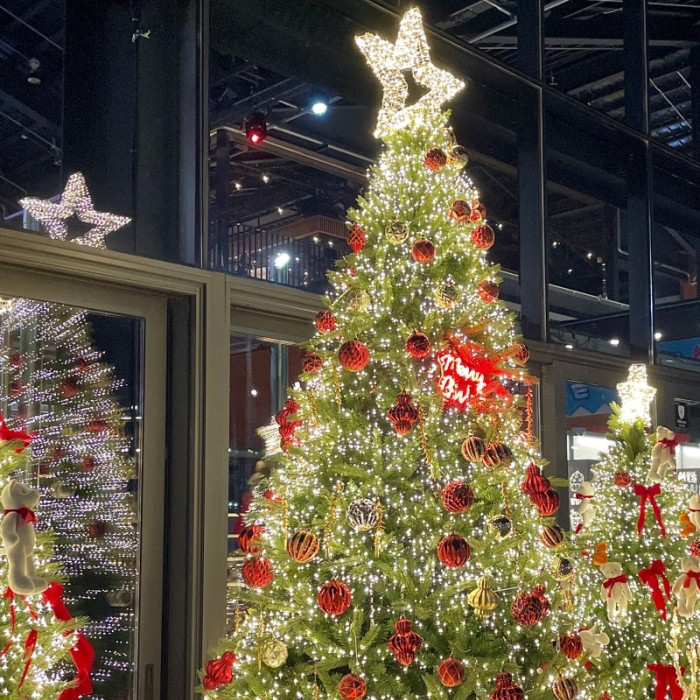 네이버 인플루언서