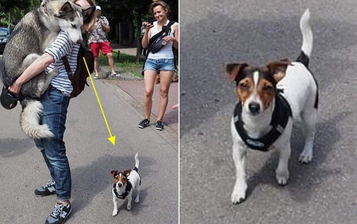 네이버 인플루언서