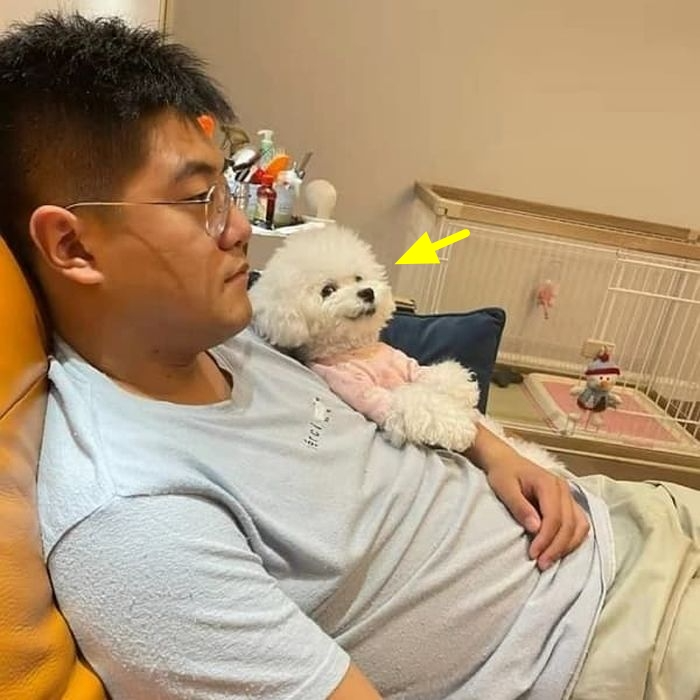 네이버 인플루언서