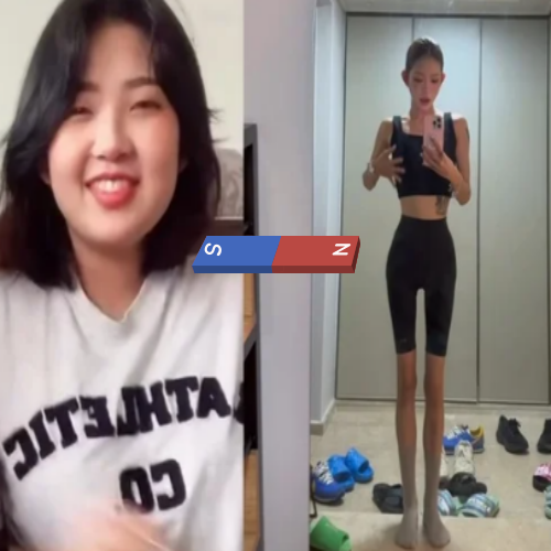 네이버 인플루언서