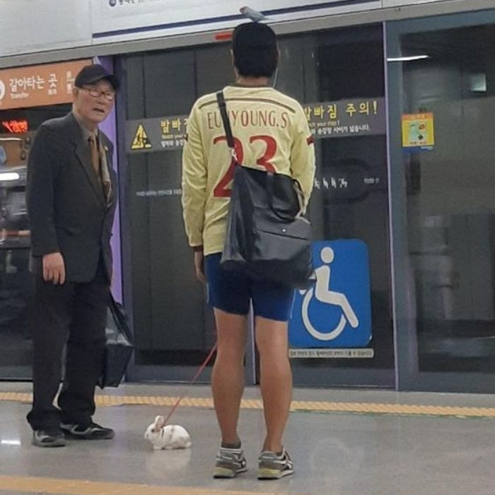 네이버 인플루언서