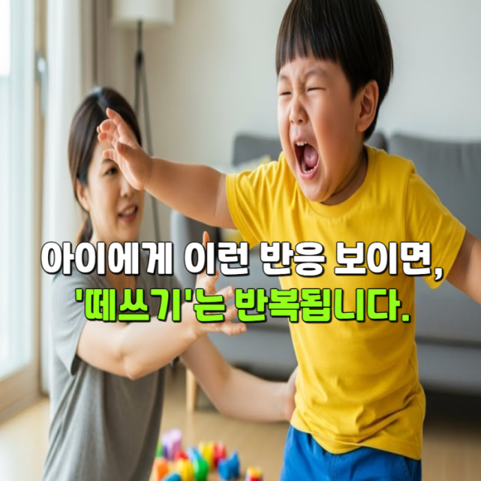 네이버 인플루언서