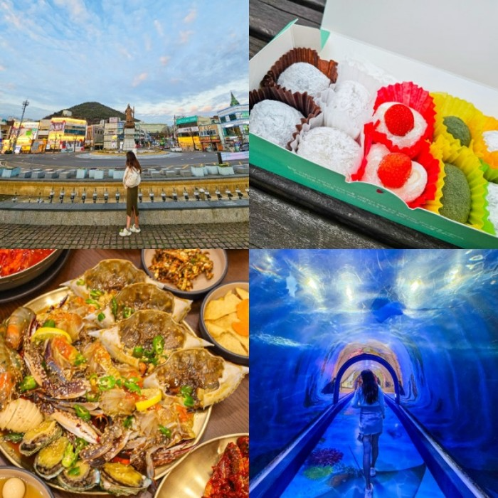 네이버 인플루언서